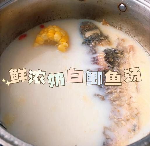 鲫鱼牛奶汤怎么做_鲫鱼牛奶汤的做法窍门-第3张图片-山城妙识