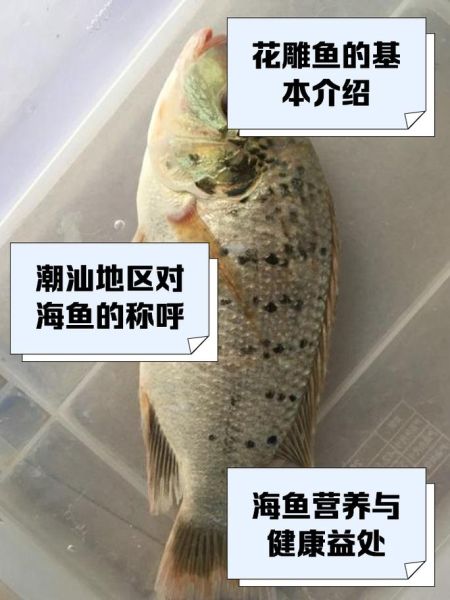 花雕鱼是什么鱼_花雕鱼多少钱一斤-第1张图片-山城妙识