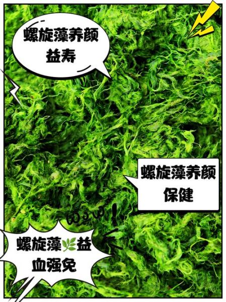 螺旋藻的功效与作用_螺旋藻怎么吃-第1张图片-山城妙识 螺旋藻的功效与作用_螺旋藻怎么吃-第1张图片-山城妙识