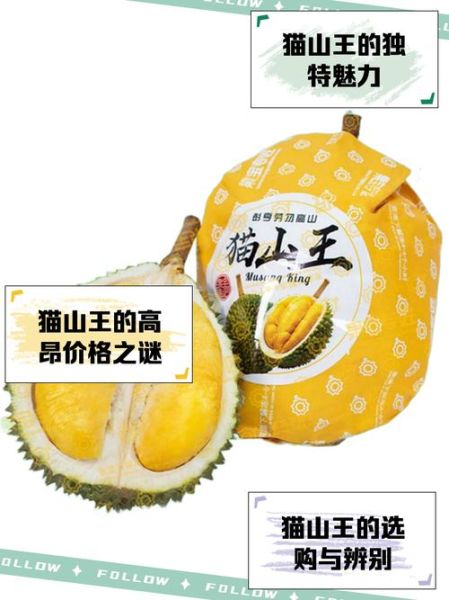 猫山王榴莲产地在哪里_正宗猫山王产自马来西亚哪个州-第3张图片-山城妙识