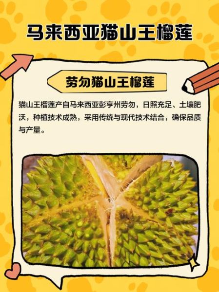 猫山王榴莲产地在哪里_正宗猫山王产自马来西亚哪个州-第1张图片-山城妙识
