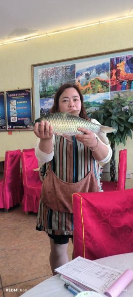 青竹鱼养殖技术_青竹鱼养殖常见问题-第3张图片-山城妙识