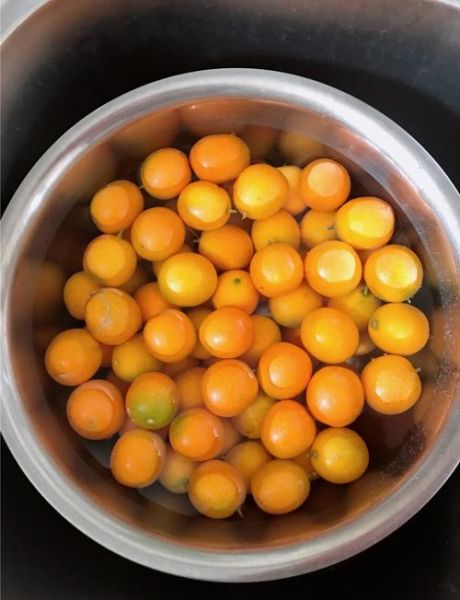 熬金桔止咳的做法_金桔止咳怎么熬最有效-第2张图片-山城妙识