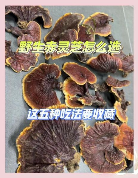 赤灵芝的功效与作用_赤灵芝怎么吃效果最好-第1张图片-山城妙识