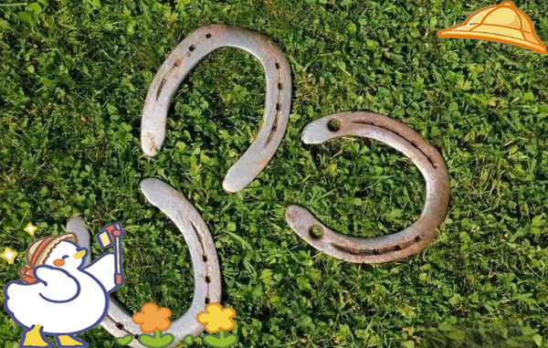 马蹄铁的作用_马蹄铁为什么能保护马蹄-第3张图片-山城妙识