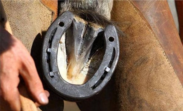 马蹄铁的作用_马蹄铁为什么能保护马蹄-第2张图片-山城妙识