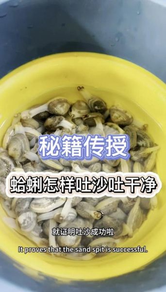 花蛤怎么吐沙_花蛤吐沙最快的方法-第1张图片-山城妙识 花蛤怎么吐沙_花蛤吐沙最快的方法-第1张图片-山城妙识