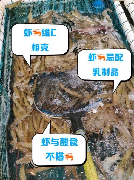 虾和什么相克不能吃_哪些食物与虾同食会中毒-第2张图片-山城妙识 虾和什么相克不能吃_哪些食物与虾同食会中毒-第2张图片-山城妙识