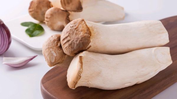 野生鸡腿菇图片_如何辨别真假-第1张图片-山城妙识 野生鸡腿菇图片_如何辨别真假-第1张图片-山城妙识