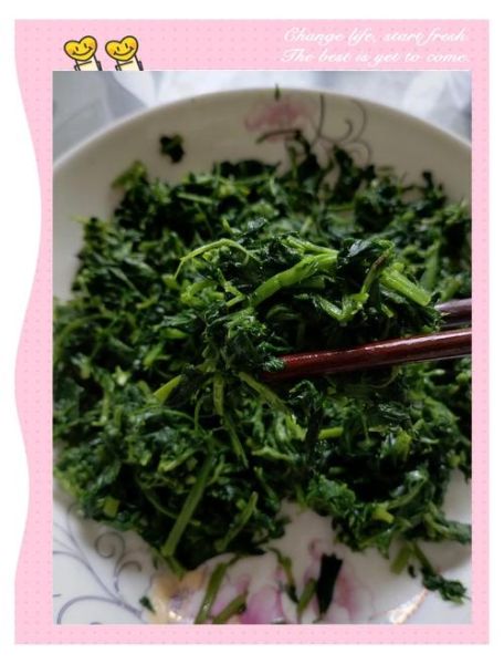 苜蓿草怎么吃才好呢_苜蓿草食用方法大全-第1张图片-山城妙识