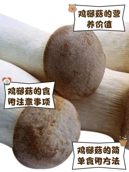 野生鸡腿菇图片_如何辨别真假-第2张图片-山城妙识 野生鸡腿菇图片_如何辨别真假-第2张图片-山城妙识