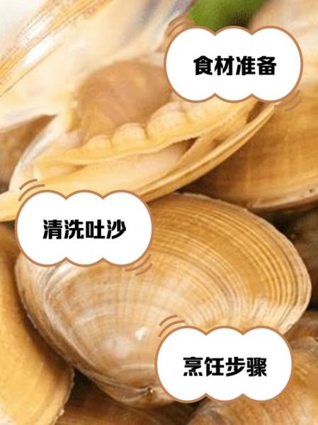 黄蚬子怎么吐沙子干净快_黄蚬子吐沙子最快的方法-第1张图片-山城妙识 黄蚬子怎么吐沙子干净快_黄蚬子吐沙子最快的方法-第1张图片-山城妙识