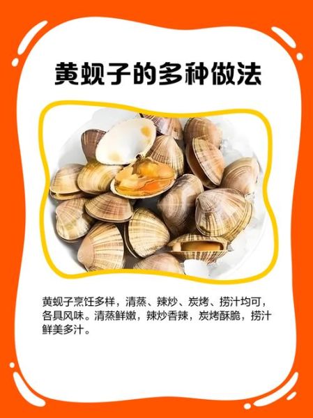 黄蚬子怎么吐沙子干净快_黄蚬子吐沙子最快的方法-第2张图片-山城妙识 黄蚬子怎么吐沙子干净快_黄蚬子吐沙子最快的方法-第2张图片-山城妙识