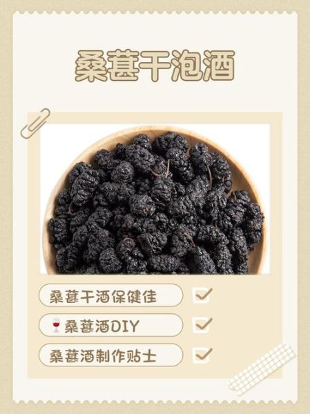 一斤桑葚干泡多少白酒_桑葚干泡酒比例是多少-第1张图片-山城妙识