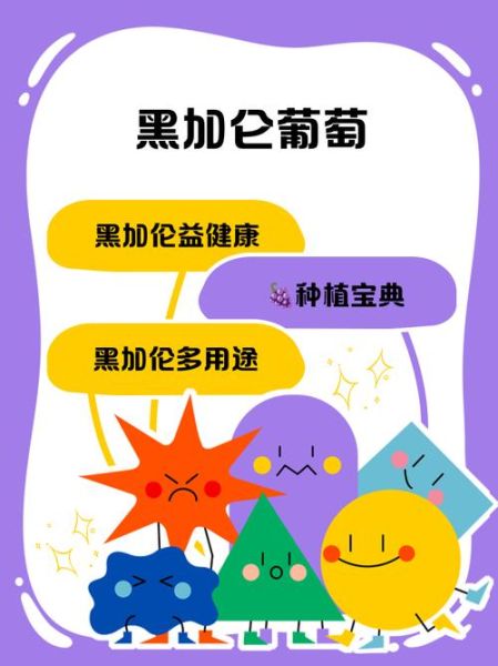 黑加仑怎么吃_黑加仑一天吃多少合适-第2张图片-山城妙识