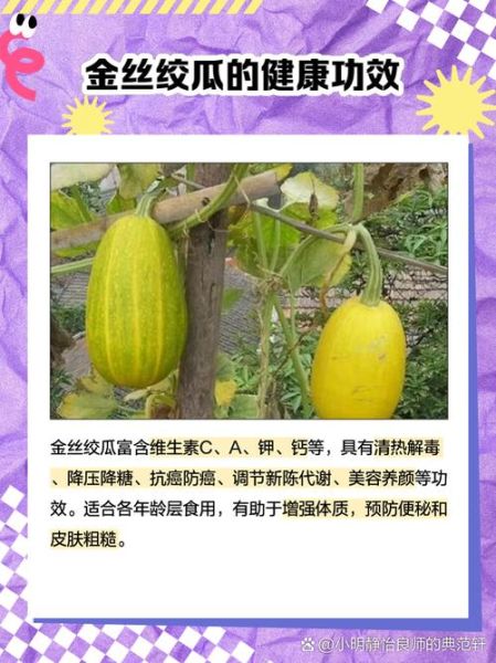 金丝绞瓜怎么做好吃_金丝绞瓜家常做法-第1张图片-山城妙识