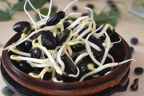 黑豆芽怎么炒好吃_黑豆芽炒多久才脆嫩-第1张图片-山城妙识