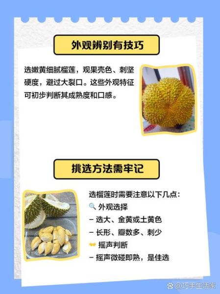 榴莲app免费下载汅api未满入内_如何安全使用-第3张图片-山城妙识