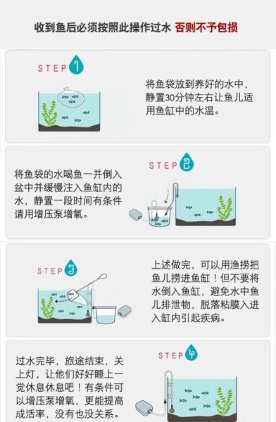 鲤鱼打挺起不来怎么办_鲤鱼打挺起不来的原因-第2张图片-山城妙识