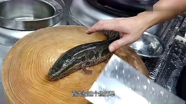 乌鱼影院怎么免费看_乌鱼影院最新地址在哪-第1张图片-山城妙识