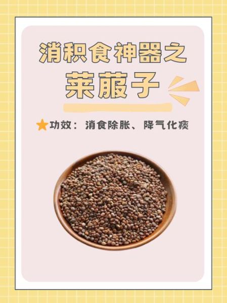 莱菔子有什么功效_莱菔子怎么吃效果好-第3张图片-山城妙识
