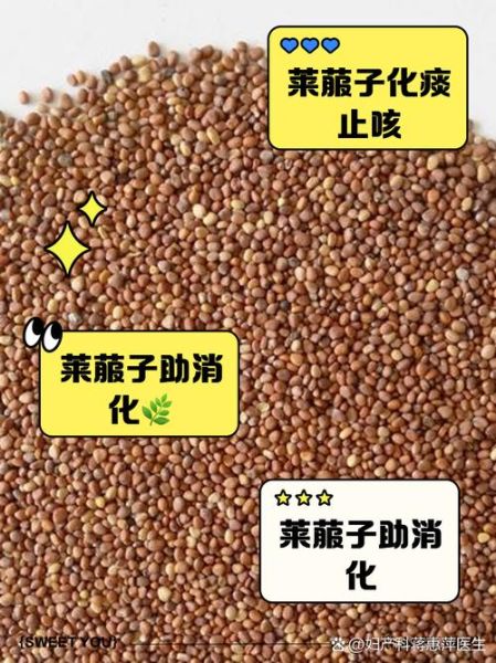 莱菔子有什么功效_莱菔子怎么吃效果好-第1张图片-山城妙识