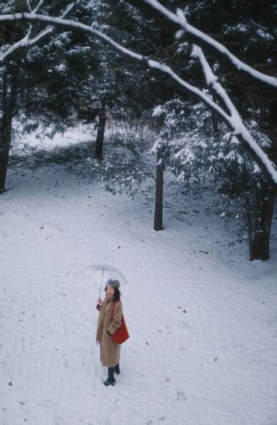 冬天图片大全_如何拍出雪景氛围感-第1张图片-山城妙识