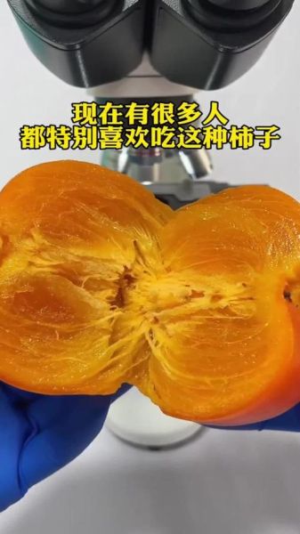 吃柿子会长结石吗_柿子结石是真的吗-第1张图片-山城妙识 吃柿子会长结石吗_柿子结石是真的吗-第1张图片-山城妙识