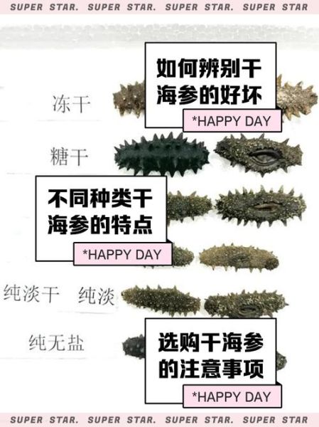 干海参怎么选好坏_干海参挑选技巧-第2张图片-山城妙识 干海参怎么选好坏_干海参挑选技巧-第2张图片-山城妙识