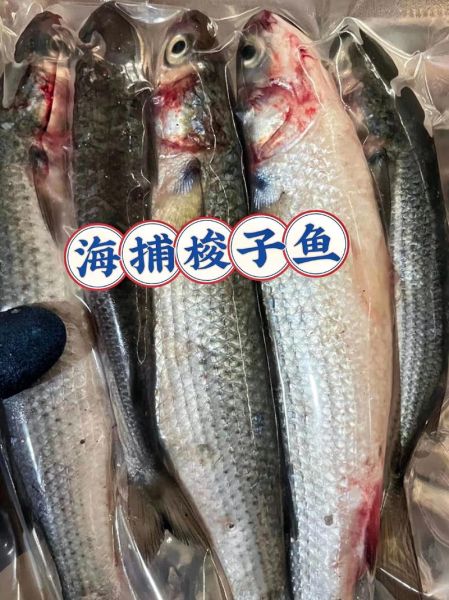 海梭子鱼怎么做好吃_海梭子鱼清蒸还是红烧-第2张图片-山城妙识 海梭子鱼怎么做好吃_海梭子鱼清蒸还是红烧-第2张图片-山城妙识