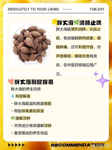 胖大海什么人不能喝_胖大海泡水喝的禁忌-第2张图片-山城妙识 胖大海什么人不能喝_胖大海泡水喝的禁忌-第2张图片-山城妙识