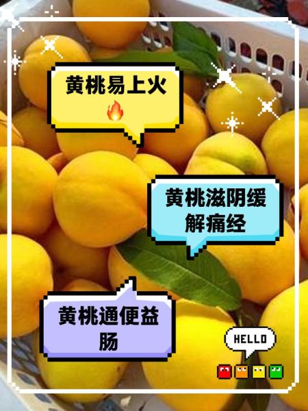 黄桃的功效与作用及禁忌_什么人不能吃黄桃-第3张图片-山城妙识 黄桃的功效与作用及禁忌_什么人不能吃黄桃-第3张图片-山城妙识