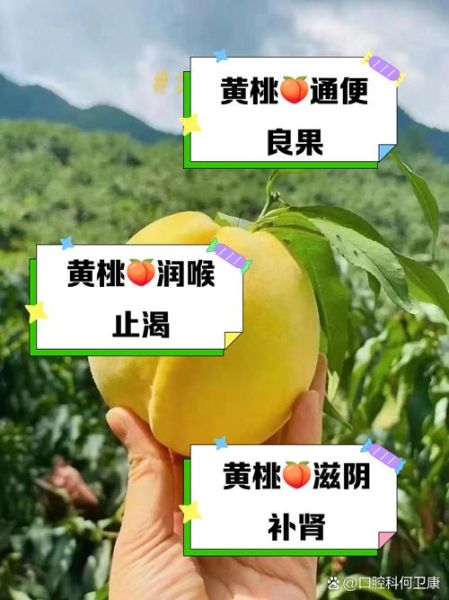 黄桃的功效与作用及禁忌_什么人不能吃黄桃-第2张图片-山城妙识 黄桃的功效与作用及禁忌_什么人不能吃黄桃-第2张图片-山城妙识