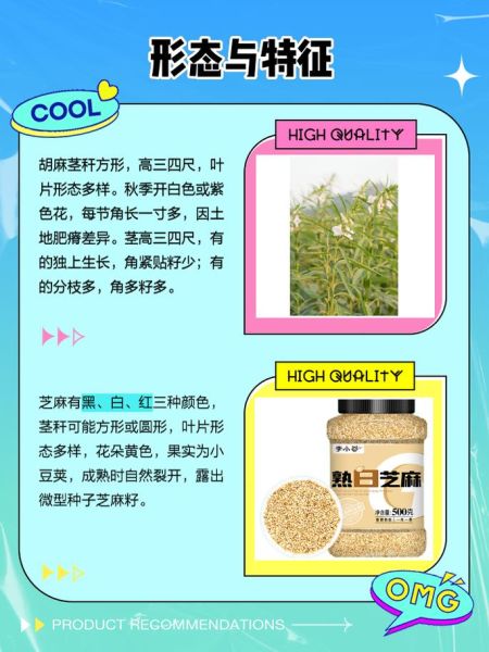 胡麻是什么_胡麻和芝麻的区别-第1张图片-山城妙识 胡麻是什么_胡麻和芝麻的区别-第1张图片-山城妙识