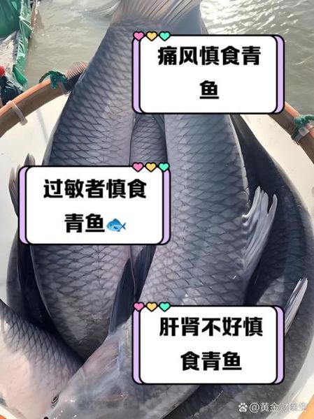 青鱼的营养价值及功效与作用_青鱼适合什么人吃-第3张图片-山城妙识 青鱼的营养价值及功效与作用_青鱼适合什么人吃-第3张图片-山城妙识