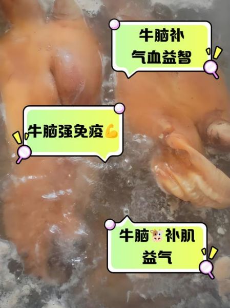 牛脑的做法大全_牛脑怎么做好吃-第2张图片-山城妙识 牛脑的做法大全_牛脑怎么做好吃-第2张图片-山城妙识