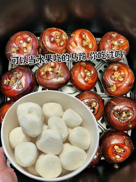 马蹄是什么水果_马蹄怎么吃最好吃-第3张图片-山城妙识