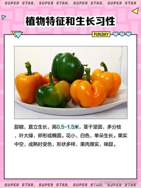 甜椒图片怎么拍_甜椒图片怎么调色-第3张图片-山城妙识 甜椒图片怎么拍_甜椒图片怎么调色-第3张图片-山城妙识