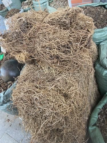 牛尾菜根的功效与作用_牛尾菜根怎么吃效果最好-第3张图片-山城妙识