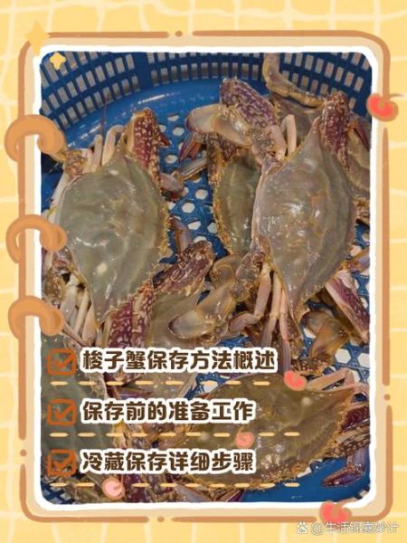 梭子蟹买回来怎么保存_能活多久-第1张图片-山城妙识