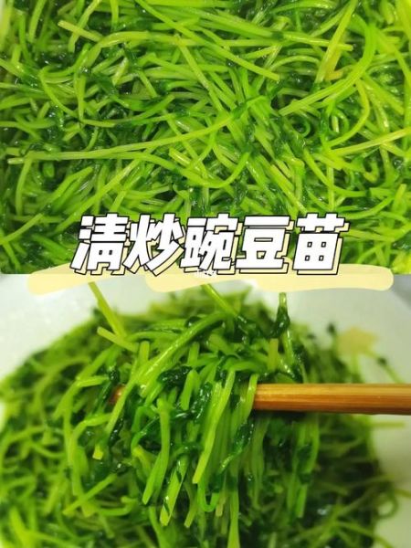 豌豆苗怎么炒好吃_豌豆苗可以凉拌吗-第1张图片-山城妙识 豌豆苗怎么炒好吃_豌豆苗可以凉拌吗-第1张图片-山城妙识