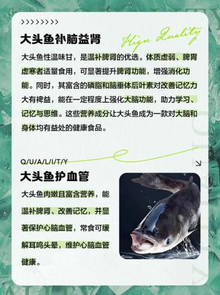 孕妇能吃大头鱼吗_孕妇吃大头鱼的好处与禁忌-第1张图片-山城妙识