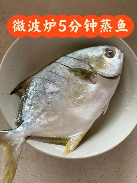 微波炉怎么蒸鱼_格兰仕微波炉菜谱图册-第3张图片-山城妙识