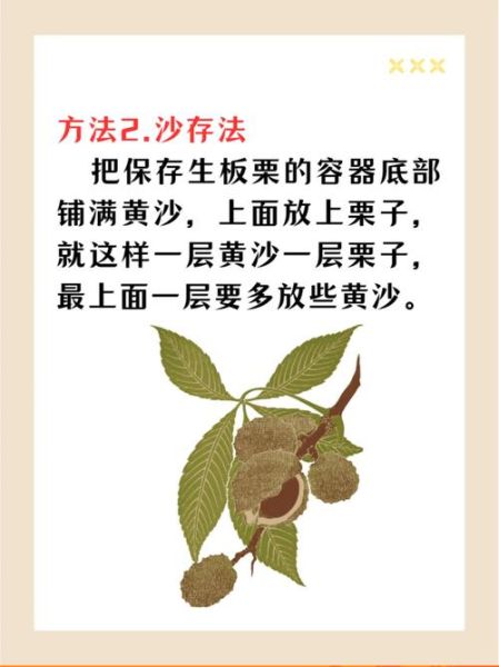 生栗子怎么煮_生栗子怎么去皮-第3张图片-山城妙识