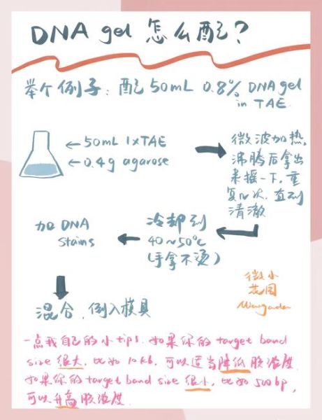 琼脂糖凝胶怎么配_琼脂糖凝胶浓度选择-第3张图片-山城妙识 琼脂糖凝胶怎么配_琼脂糖凝胶浓度选择-第3张图片-山城妙识