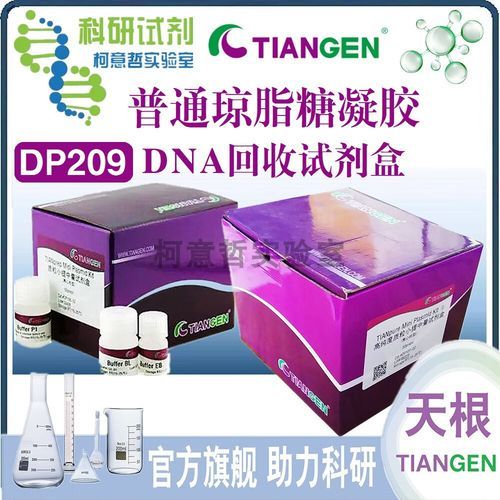 琼脂糖凝胶怎么配_琼脂糖凝胶浓度选择-第2张图片-山城妙识 琼脂糖凝胶怎么配_琼脂糖凝胶浓度选择-第2张图片-山城妙识