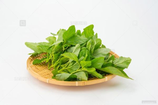 青苋菜图片_青苋菜长什么样-第2张图片-山城妙识