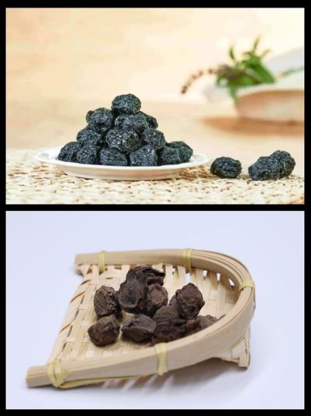 乌梅丸治疗什么病_乌梅丸方解与功效-第3张图片-山城妙识 乌梅丸治疗什么病_乌梅丸方解与功效-第3张图片-山城妙识