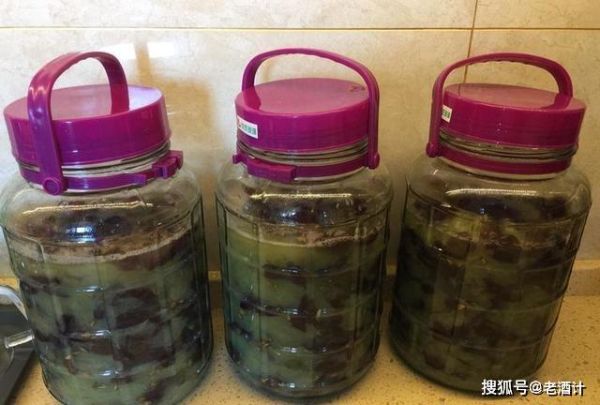 自酿葡萄酒的做法_家庭自酿葡萄酒全过程视频-第1张图片-山城妙识