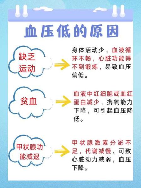 长期低血压有什么危害_低血压会死吗-第1张图片-山城妙识